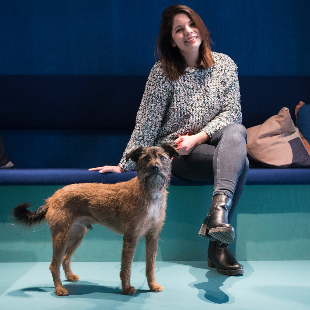 Stalking my boyfriend – High5dogs