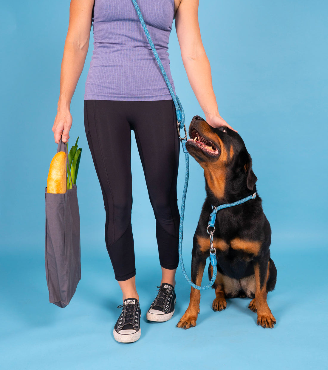 Hands Free Dog Leashes - Shoulder Leashes – High 5 Pets B.V.