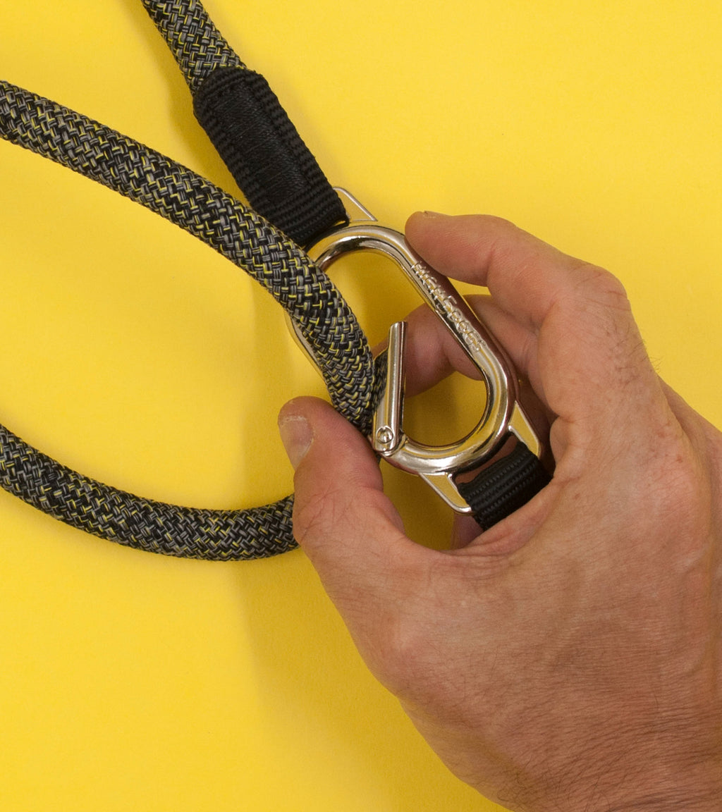 Leisure Parking & Tether Leash – High 5 Pets B.V.