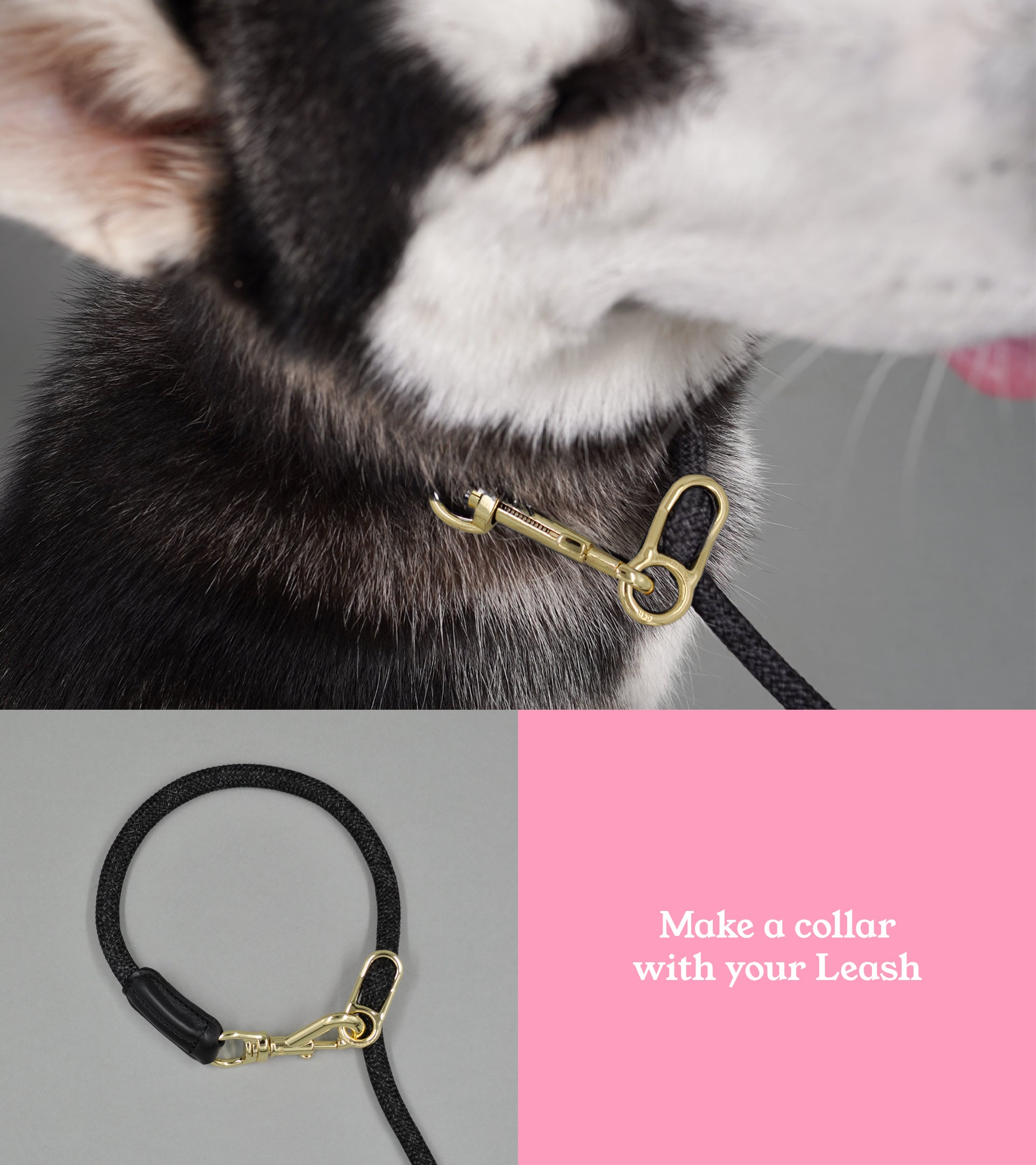 Designer Dog Leashes & Leads | High5dogs – High 5 Pets B.V.