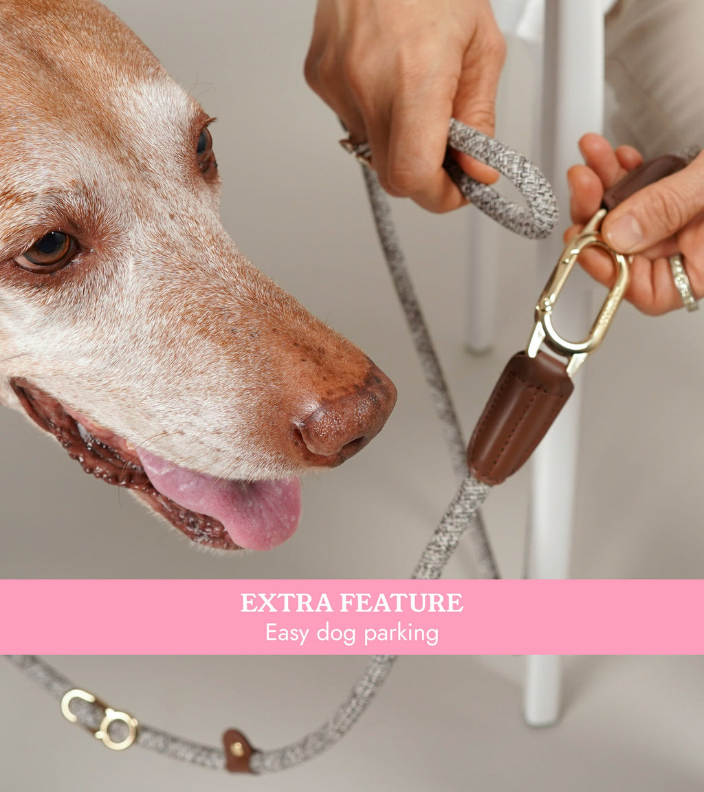 Metro Hands Free Shoulder Dog Leash – High 5 Pets B.V.